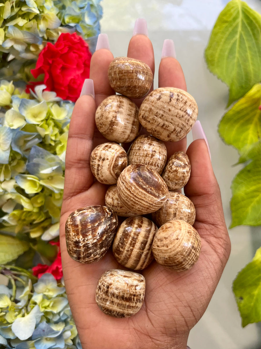 Aragonite (Peru) - Tumbled – Solace Crystals